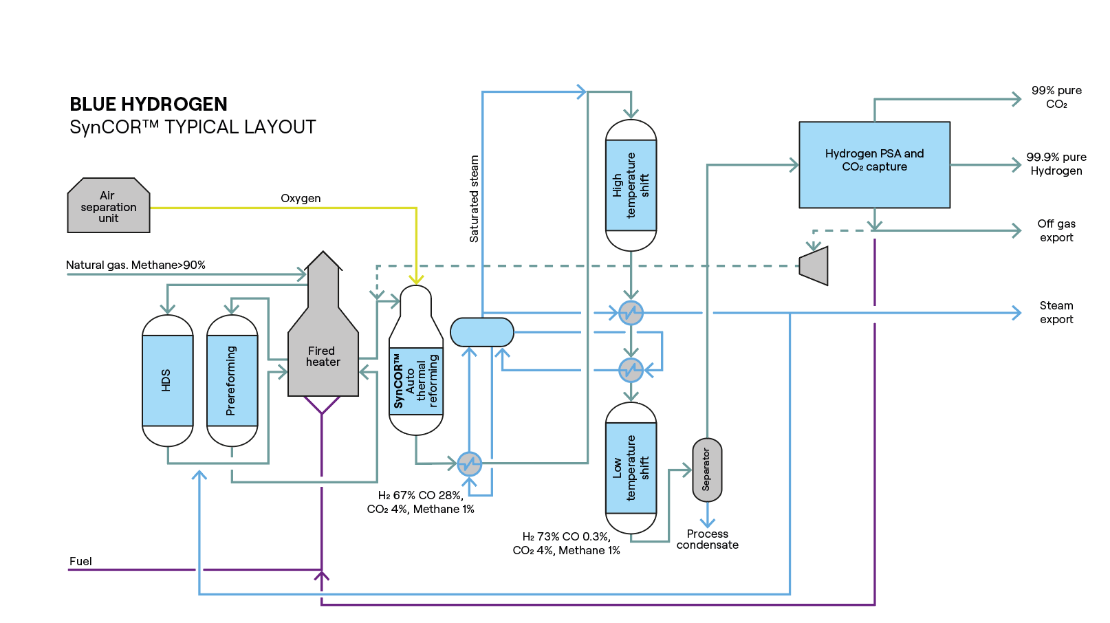 Catalysts for blue hydrogen technologies